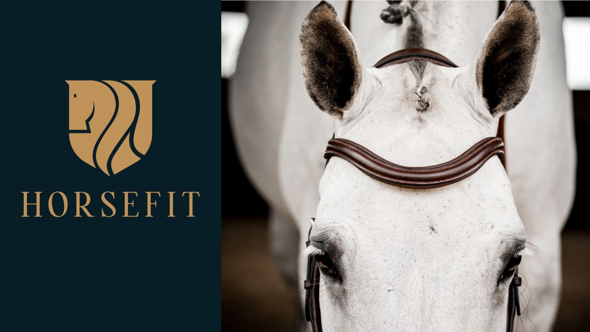 Micklem Fitting Guide – HorseFit