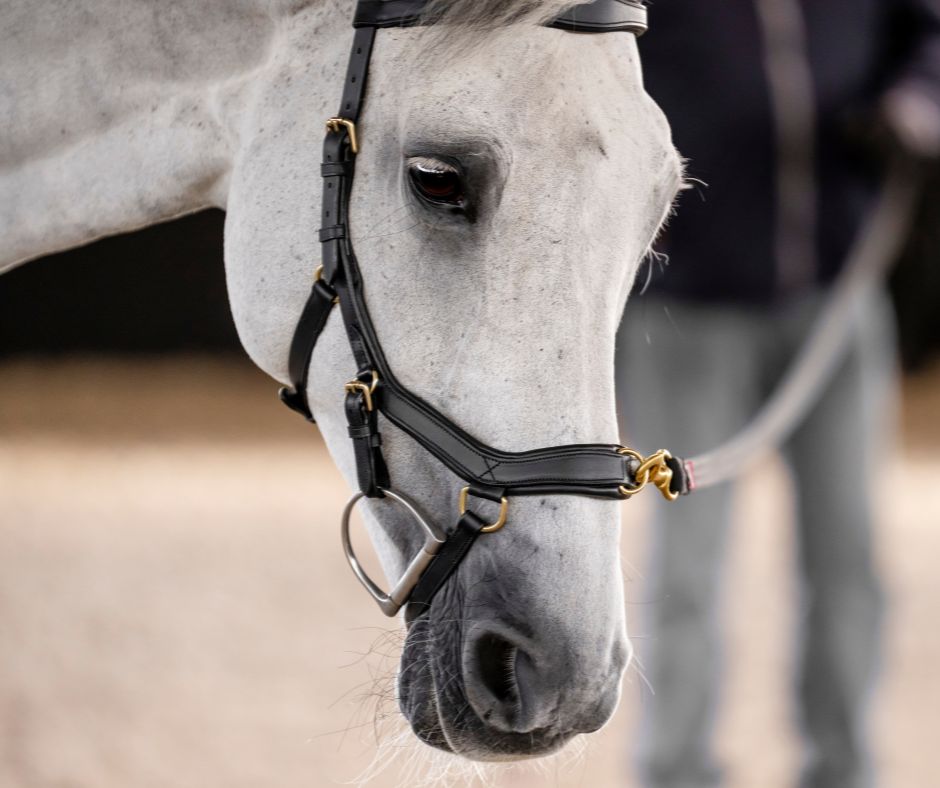 Micklem Fitting Guide – HorseFit