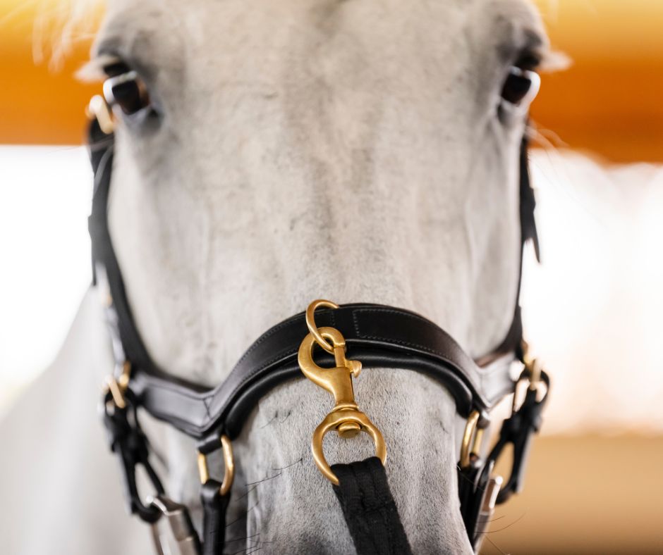 Micklem Fitting Guide – HorseFit