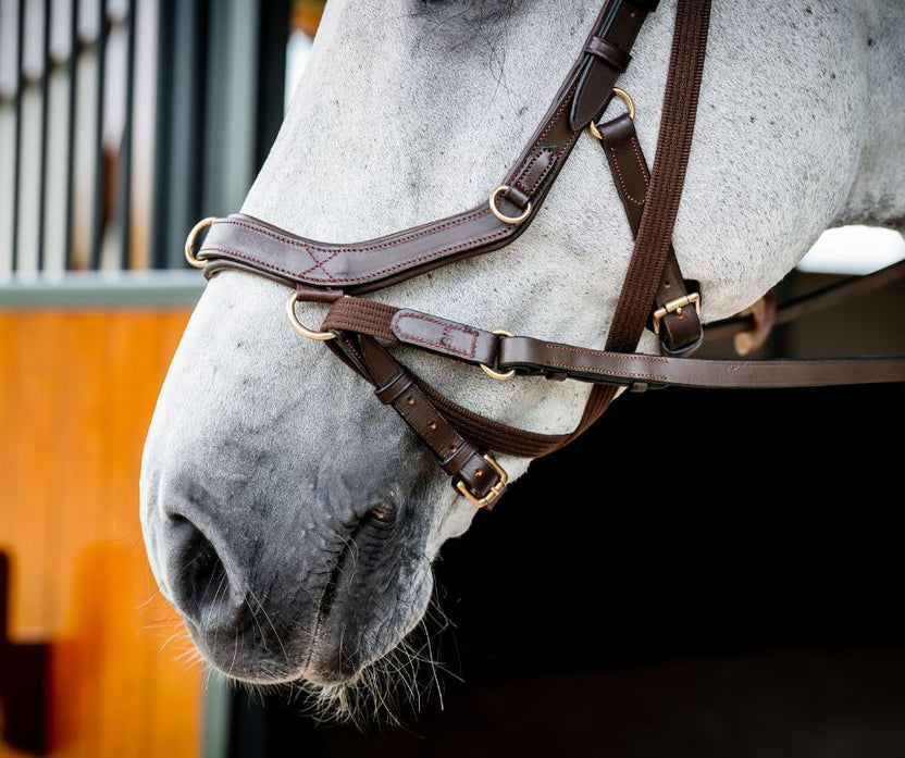 Micklem Fitting Guide – HorseFit