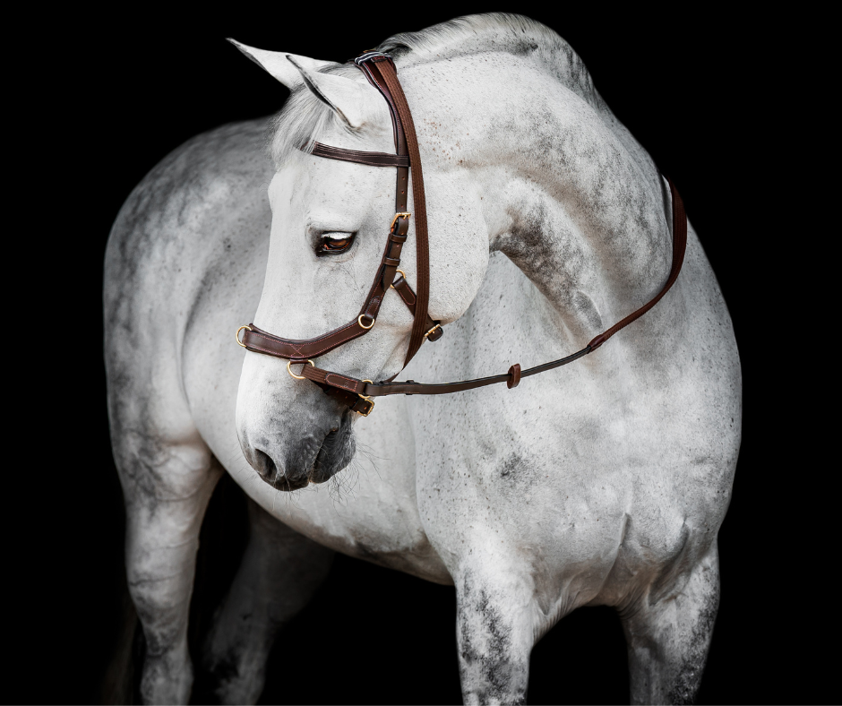 Micklem Fitting Guide – HorseFit