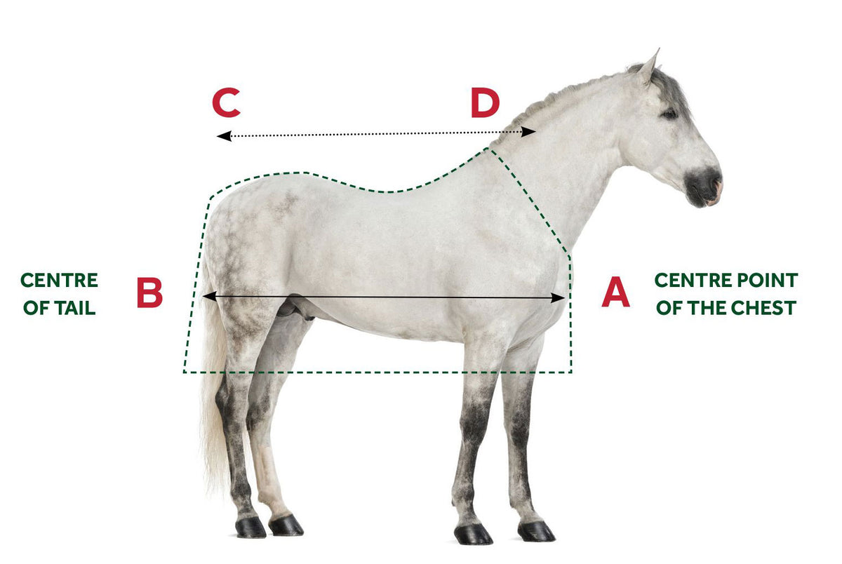 Horseware Size Charts – HorseFit